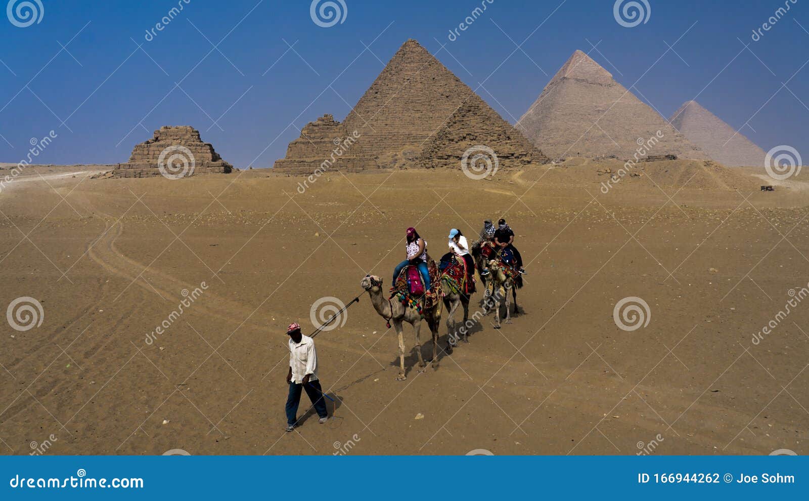 Camel and Great Pyramids of Giza, Cairo, Egypt Editorial Photography ...