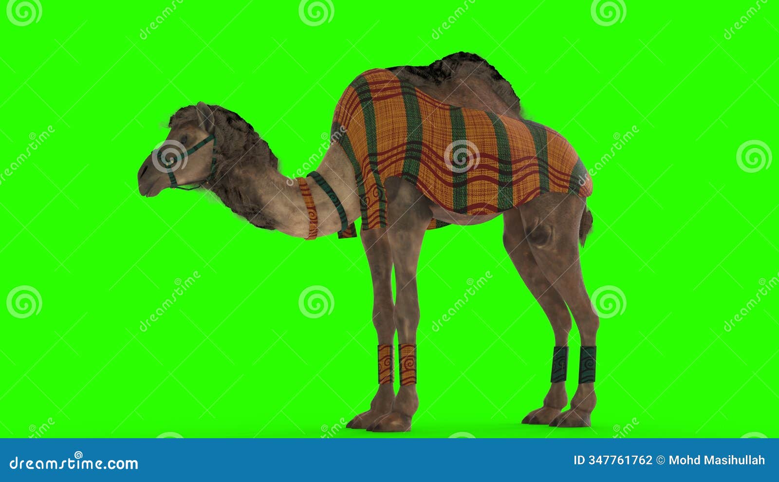 Camel with Green Background Editorial Photography - Image of nature ...