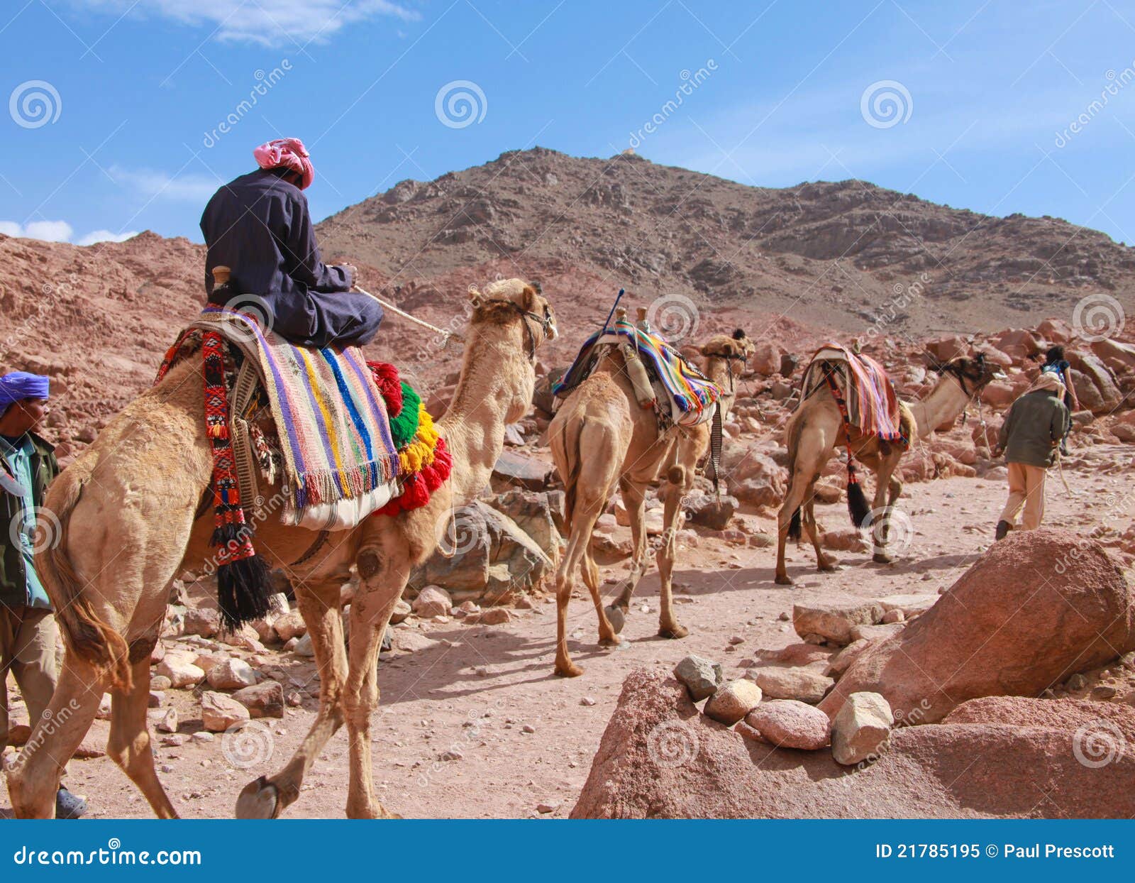Camel guide editorial image. Image of arabia, pilgrim - 21785195