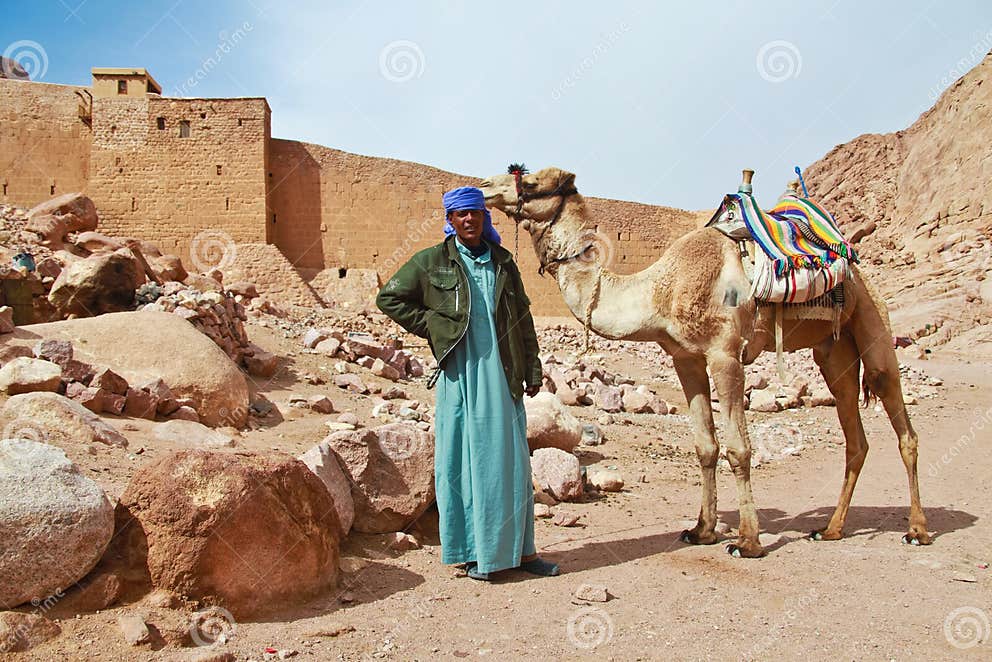 Camel guide editorial photo. Image of africa, nature - 21785211