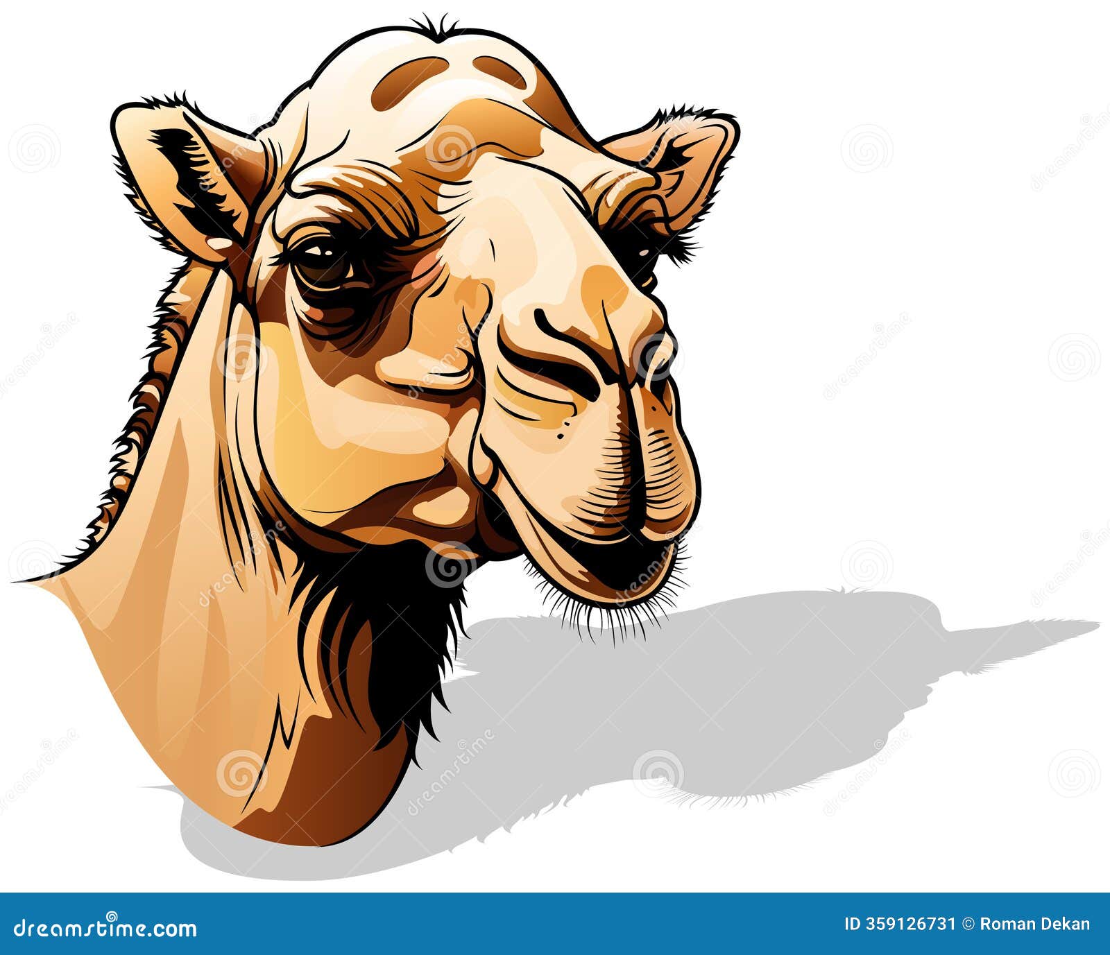 Camel Head Vector Silhouette Art Illustration | CartoonDealer.com ...