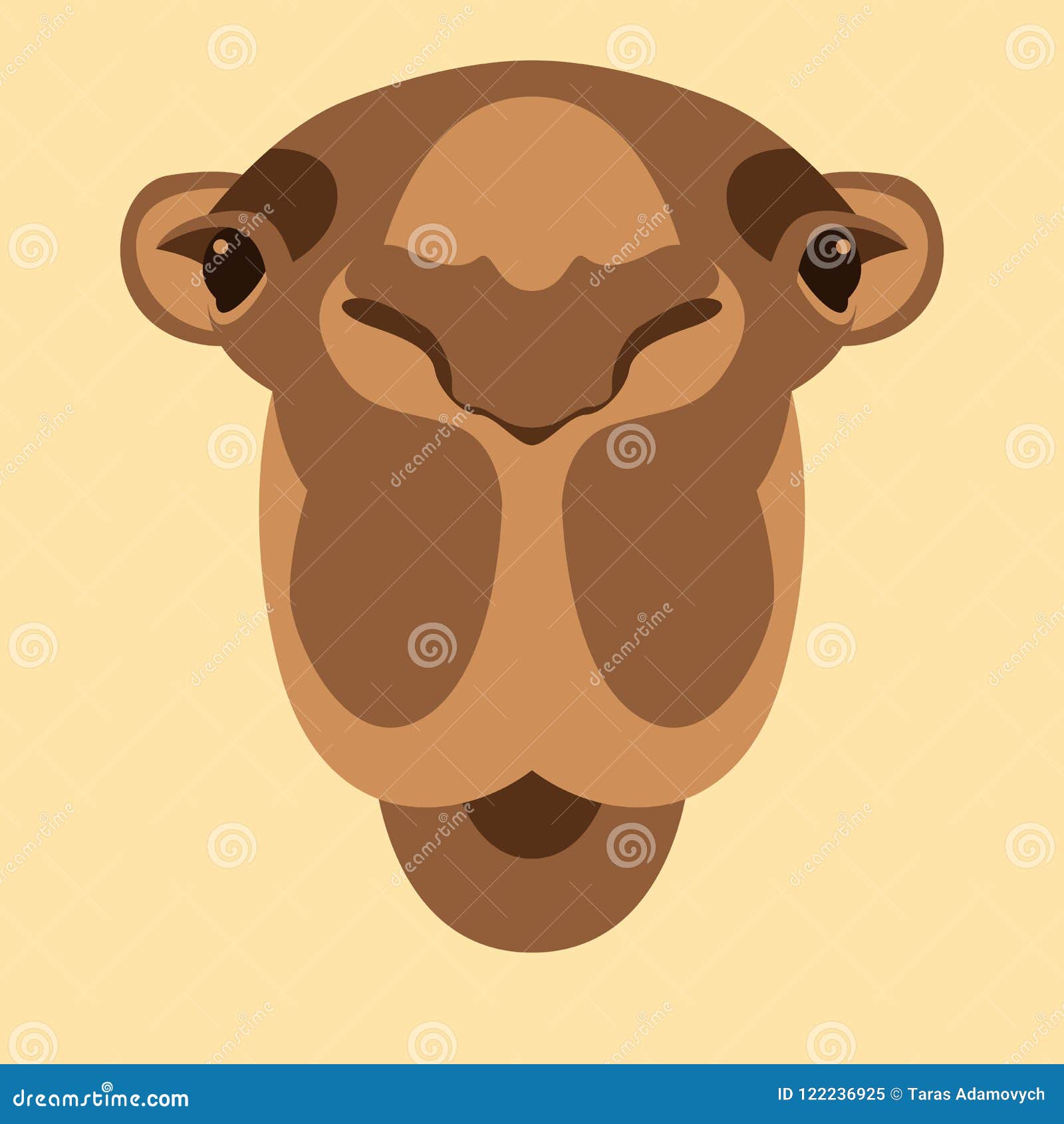 Man And Camel Front Of Masjid Geometry Of Islamic Design Background ...