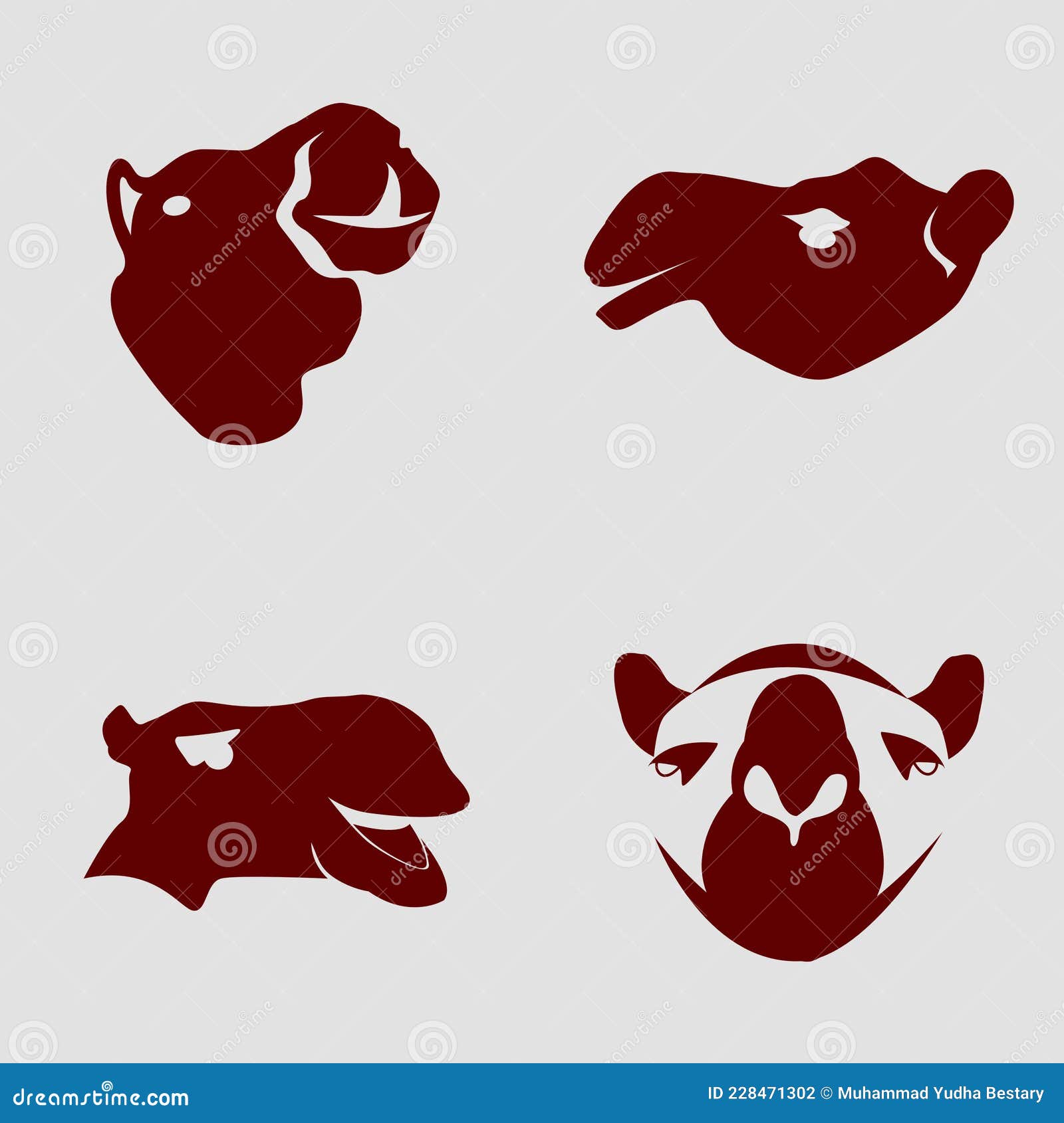 Camel Head Logo Illustration Bundle Stock Vector - Illustration of ...