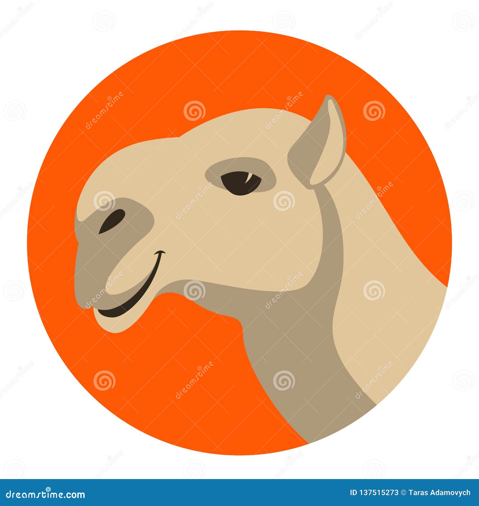 Camel Head Vector Illustration, Flat Style ,profile Stock Vector ...