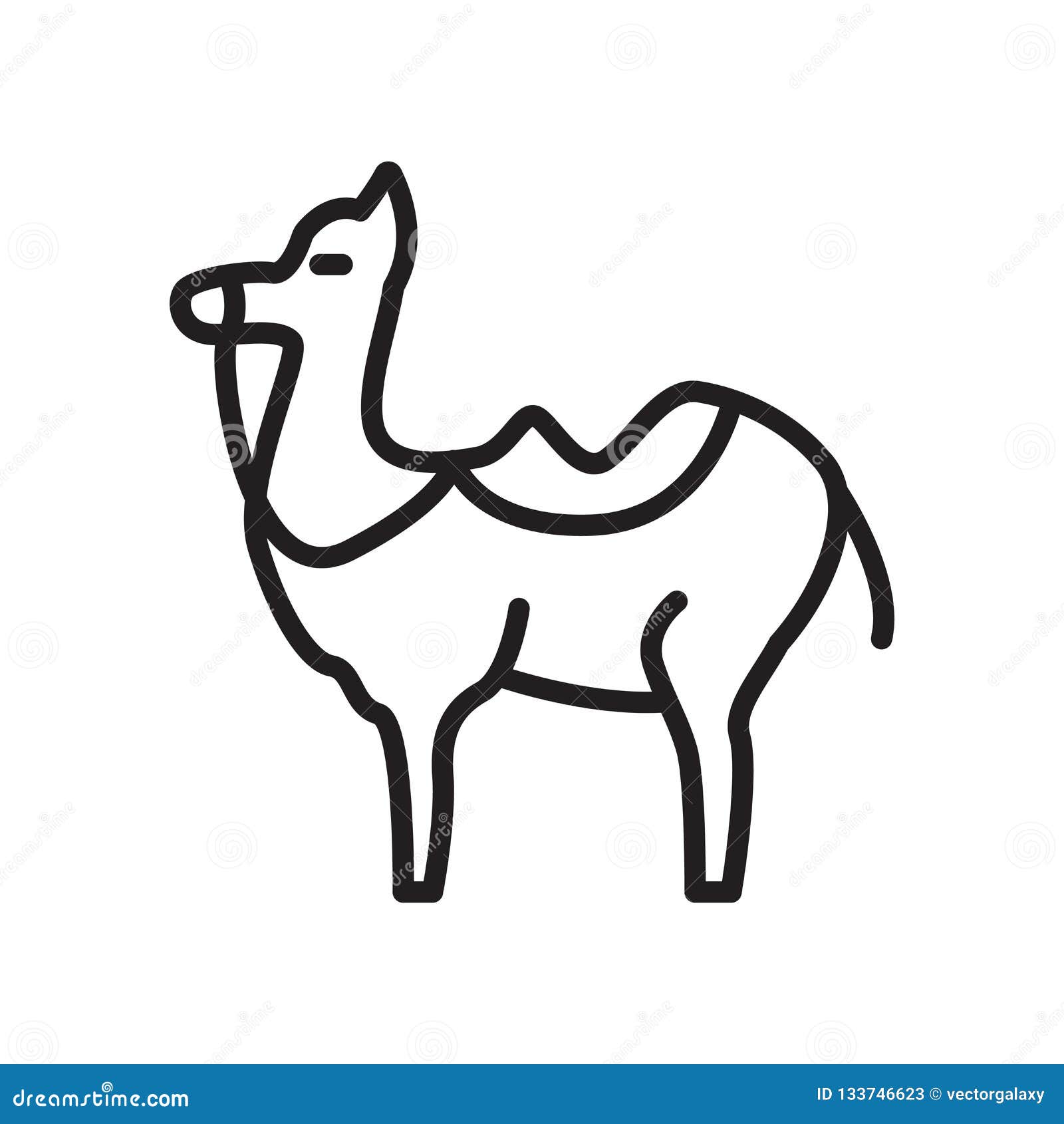 Camel Icon Vector Sign and Symbol Isolated on White Background Stock ...