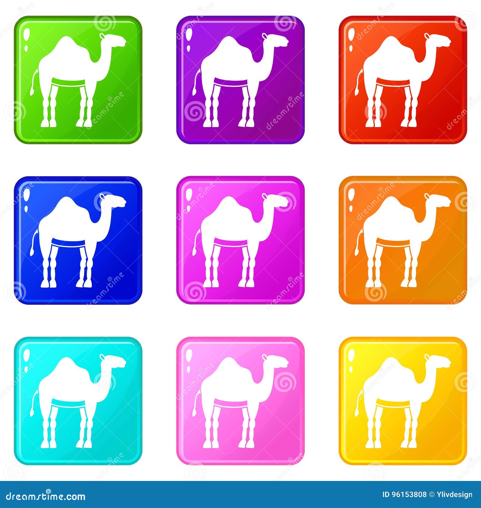 Camel icons 9 set stock vector. Illustration of arab - 96153808