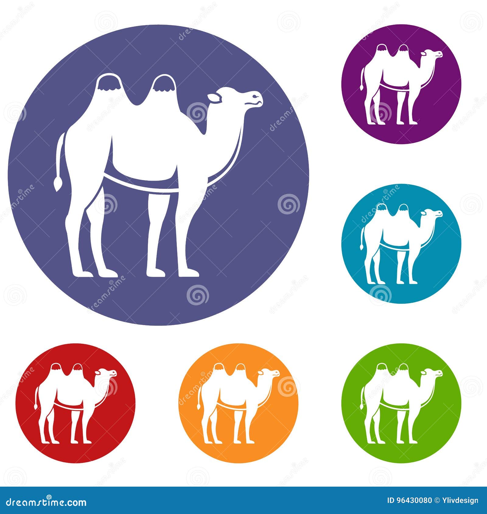 Camel icons set stock vector. Illustration of oriental - 96430080