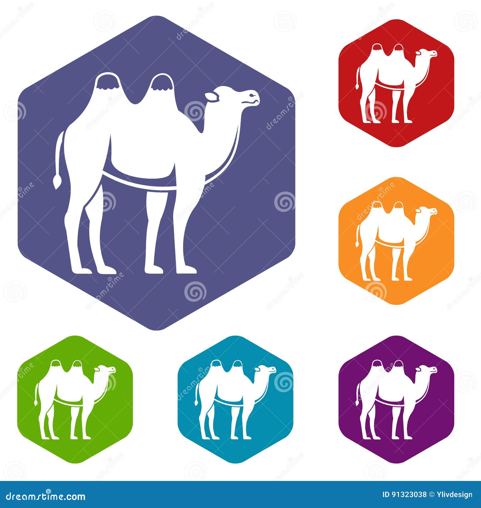 Camel icons set hexagon stock vector. Illustration of eastern - 91323038