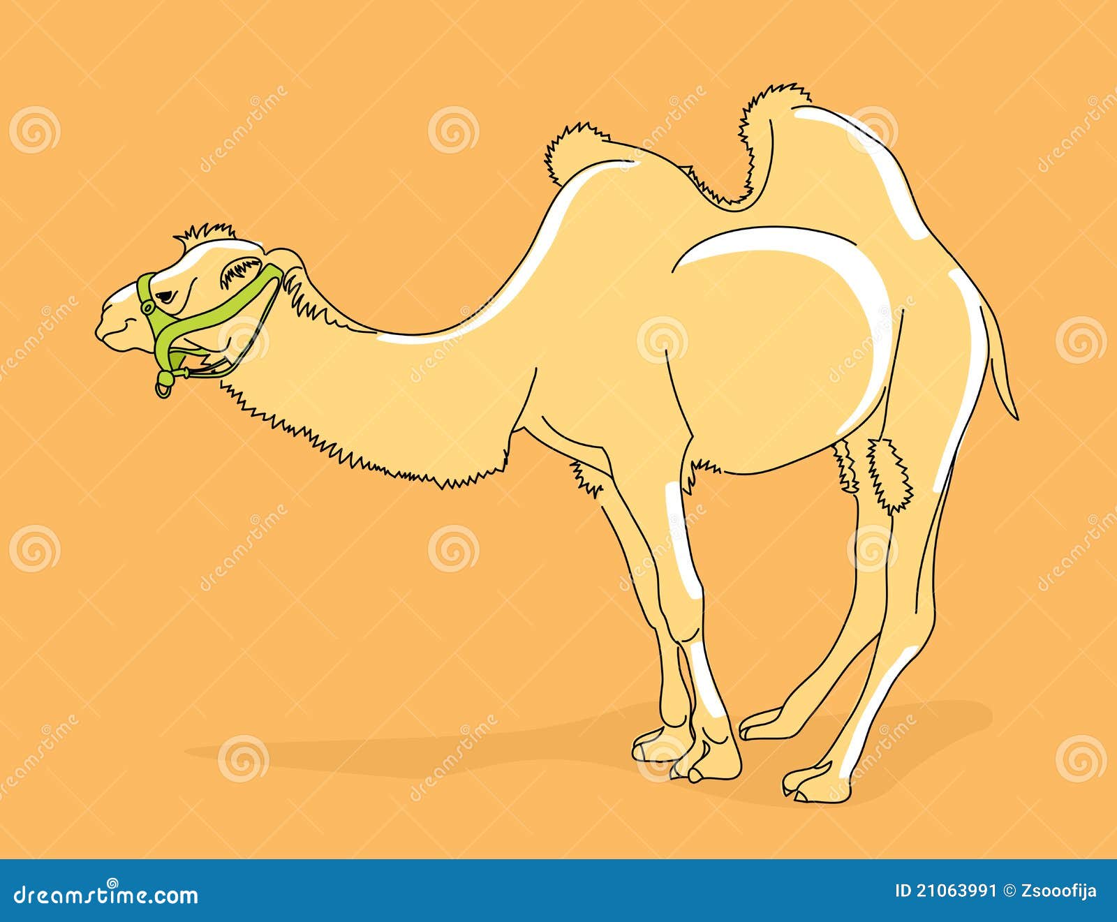 Sketchy Camel Vector Illustration | CartoonDealer.com #9740223
