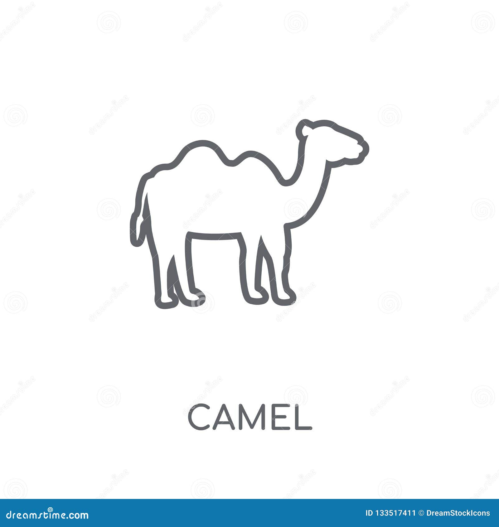 Camel Outline Vector Icon, Isolated On Transparent Background, Concept ...