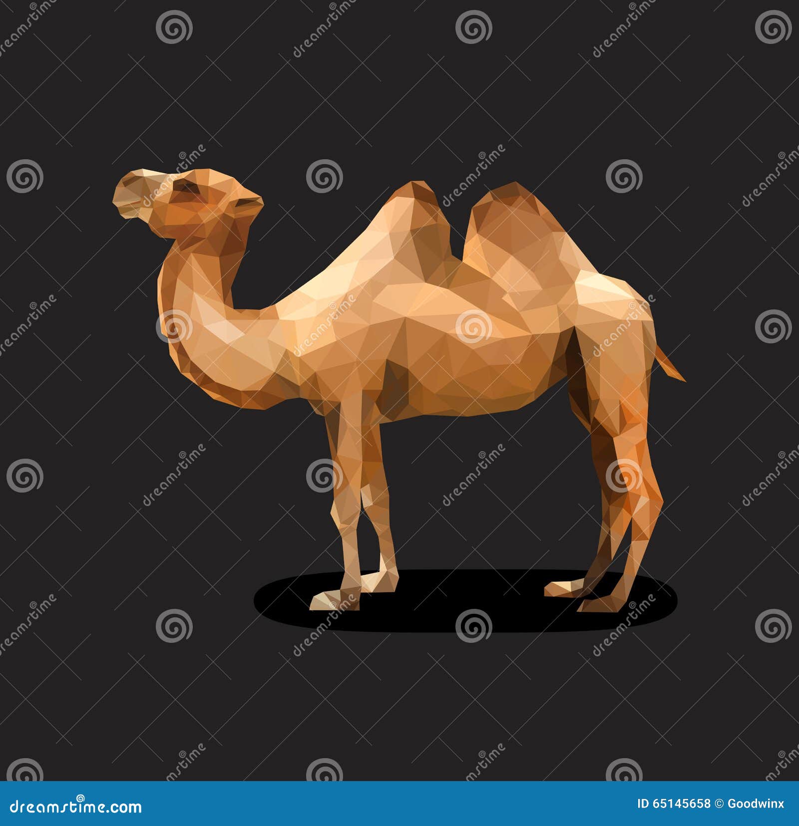 Camel Low Polygon Polygon on a Black Background Stock Vector ...