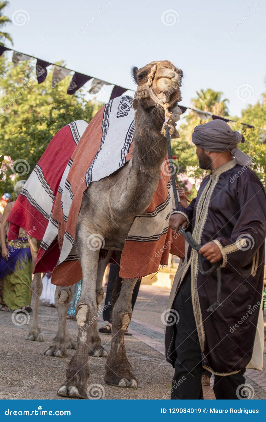 Camel on medieval festival editorial stock image. Image of turban ...