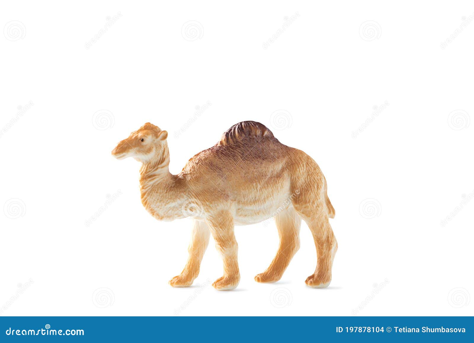 Camel Mini Figure Isolated on White Background. Plastic Animal Toy ...