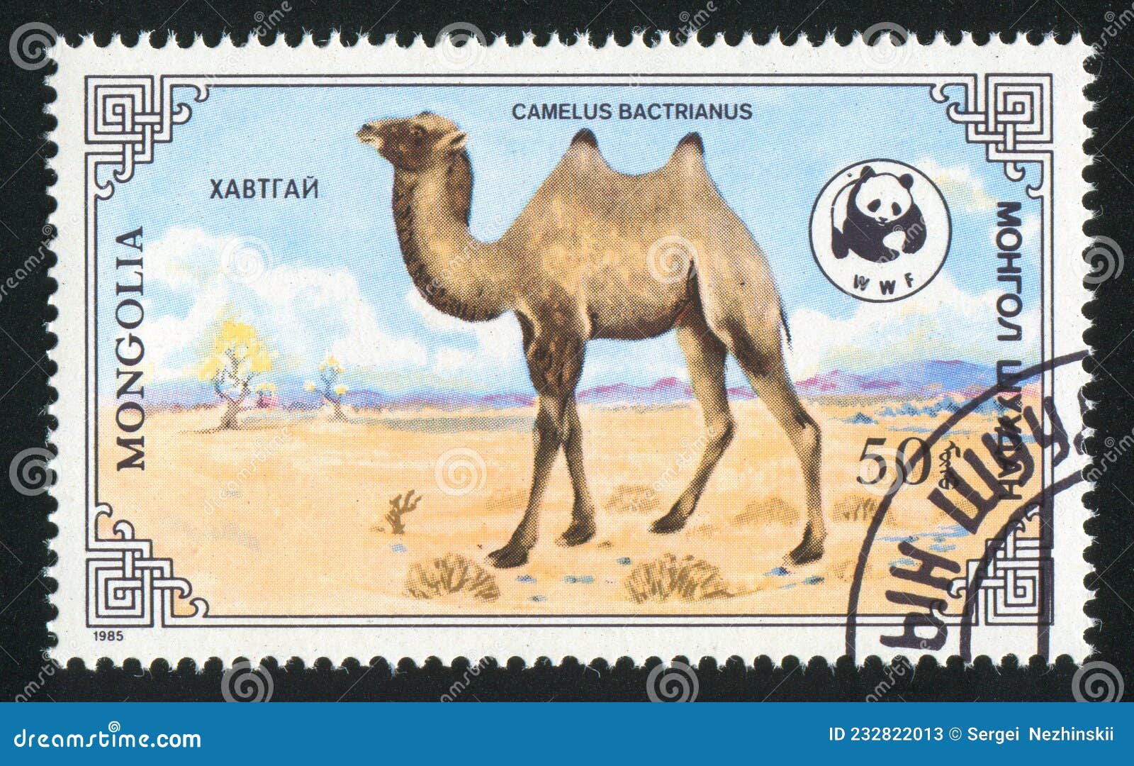 Camel editorial stock photo. Image of aged, camel, postage - 232822013