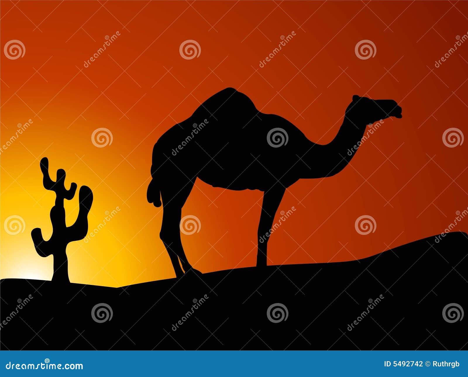 Camel near cactus stock illustration. Illustration of mammal - 5492742