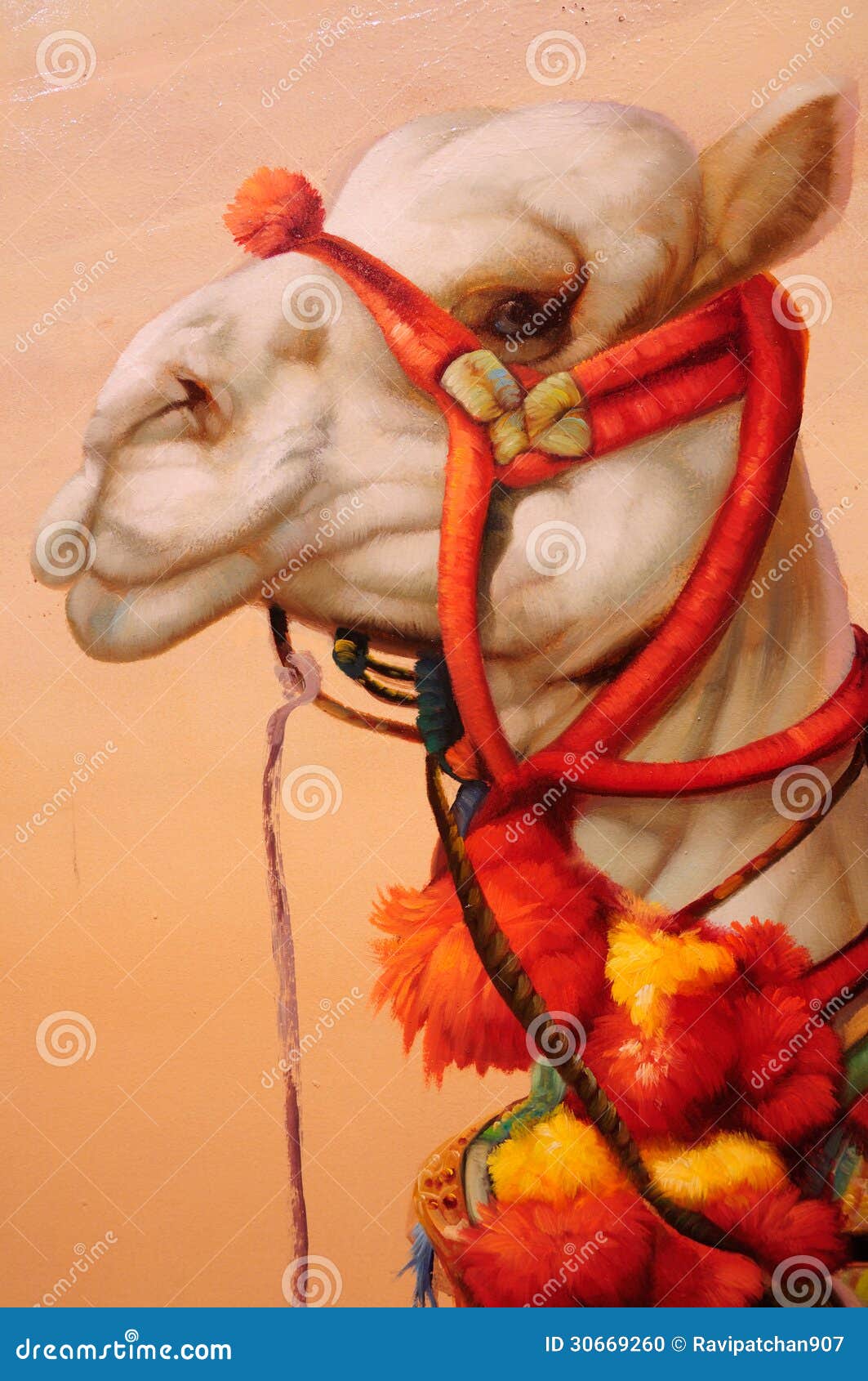 Toon Camel Stock Photo | CartoonDealer.com #6401454