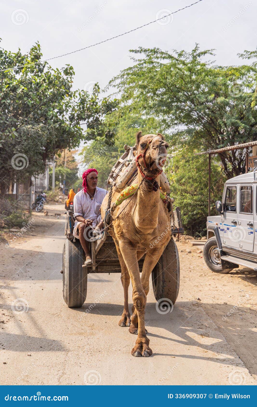 Camel Pulling Cart In India Editorial Photo | CartoonDealer.com #26632125
