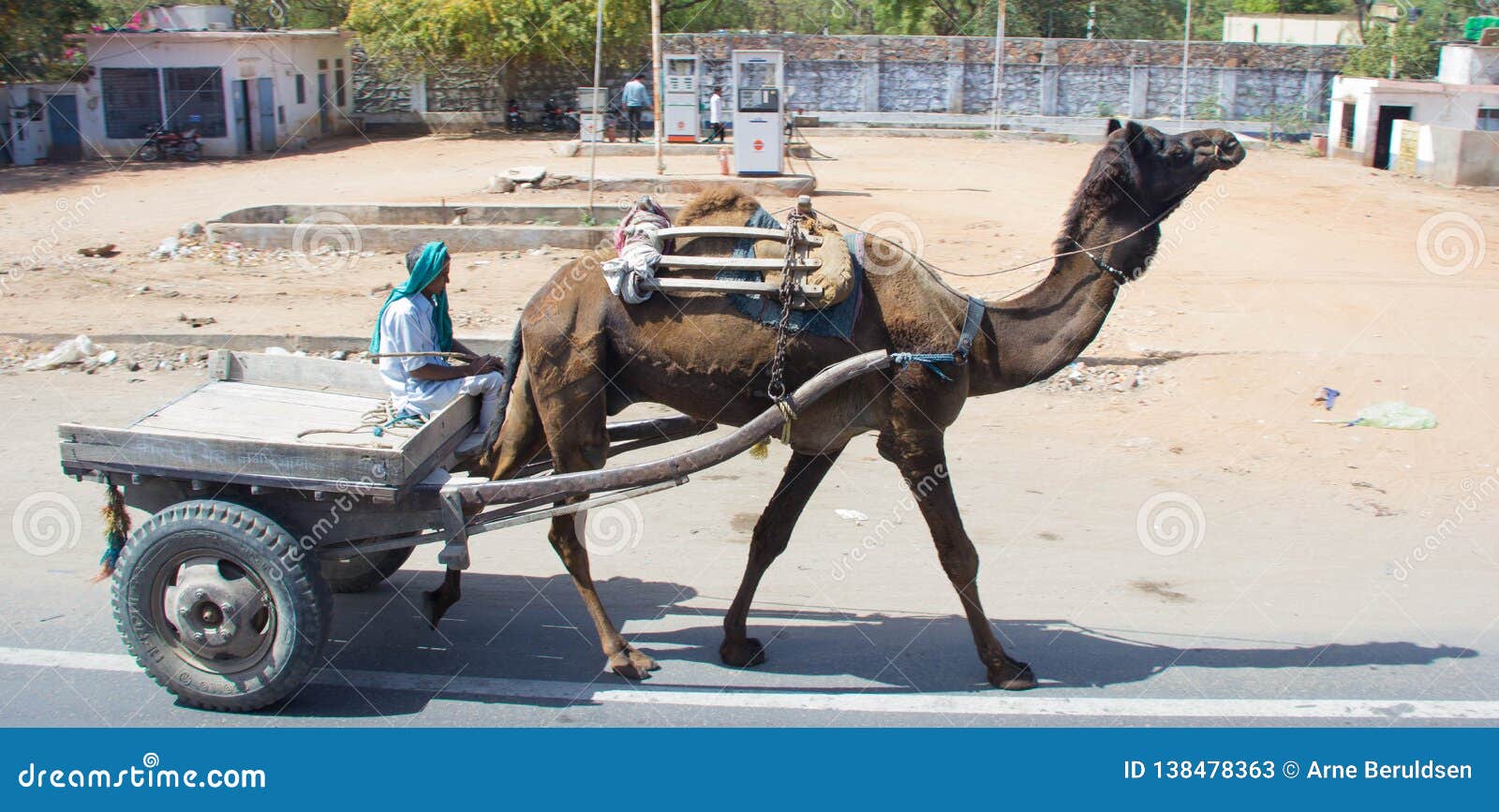 Camel Pulling Cart In India Editorial Photo | CartoonDealer.com #26632189