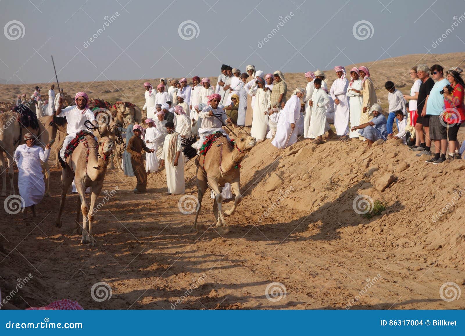 Camel Race editorial stock image. Image of race, sport - 86317004