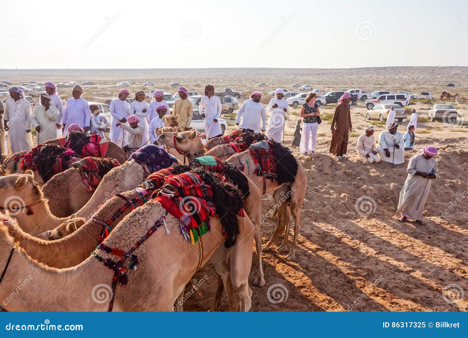 Men At A Camel Race With Their Arabian Camels Editorial Image ...