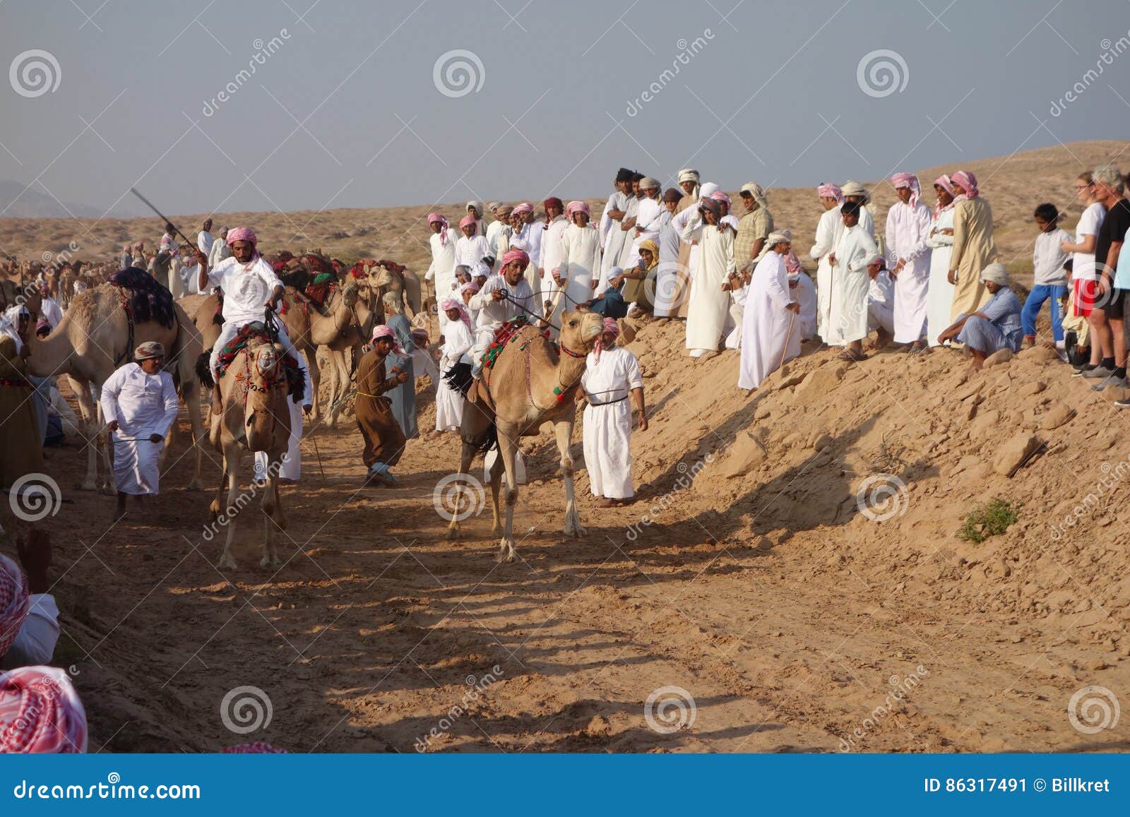 Camel Race editorial photo. Image of warm, race, oman - 86317491