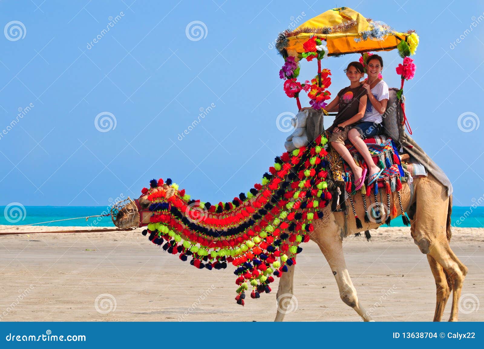Camel Ride stock photo. Image of hump, desert, waves - 13638704