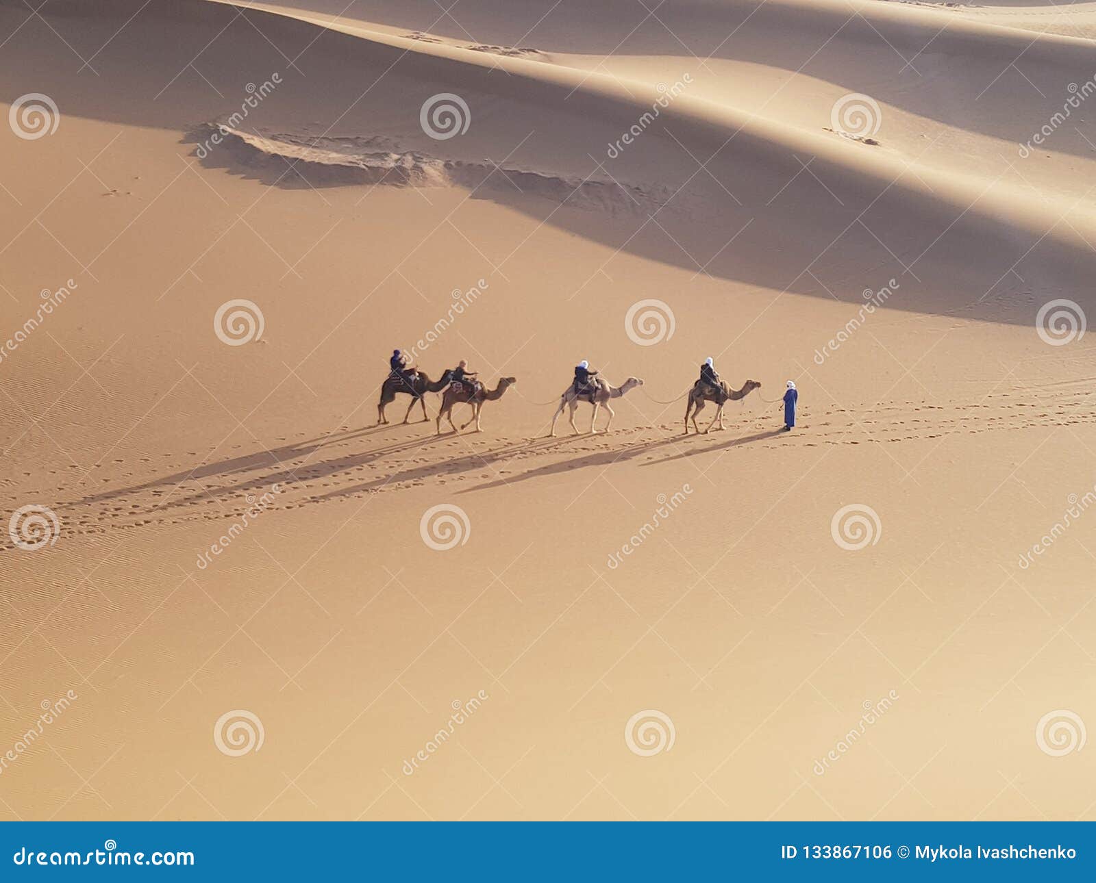Camel ride through desert stock photo. Image of sandy - 133867106