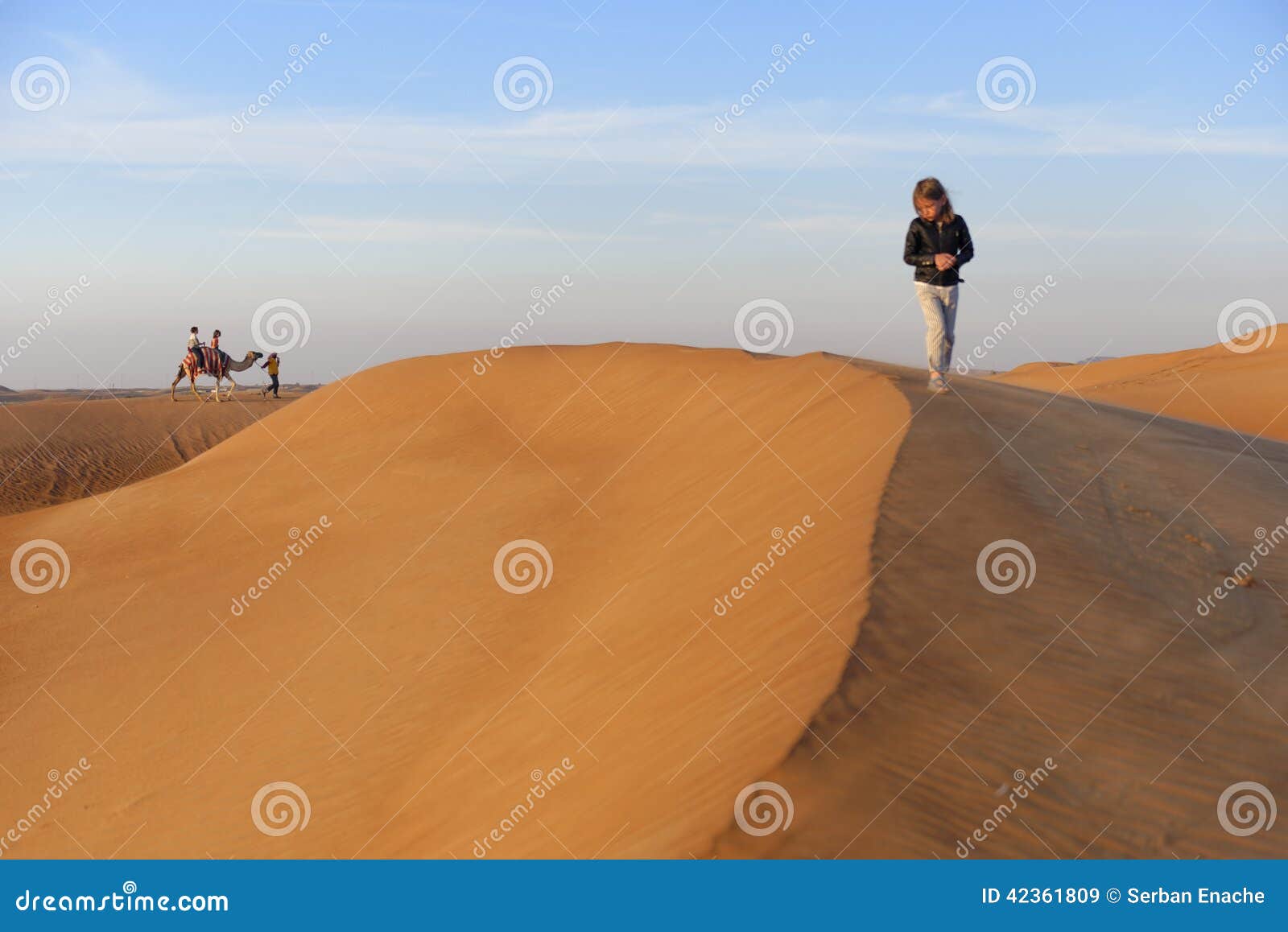 Camel ride in the desert stock image. Image of arid, desolate - 42361809