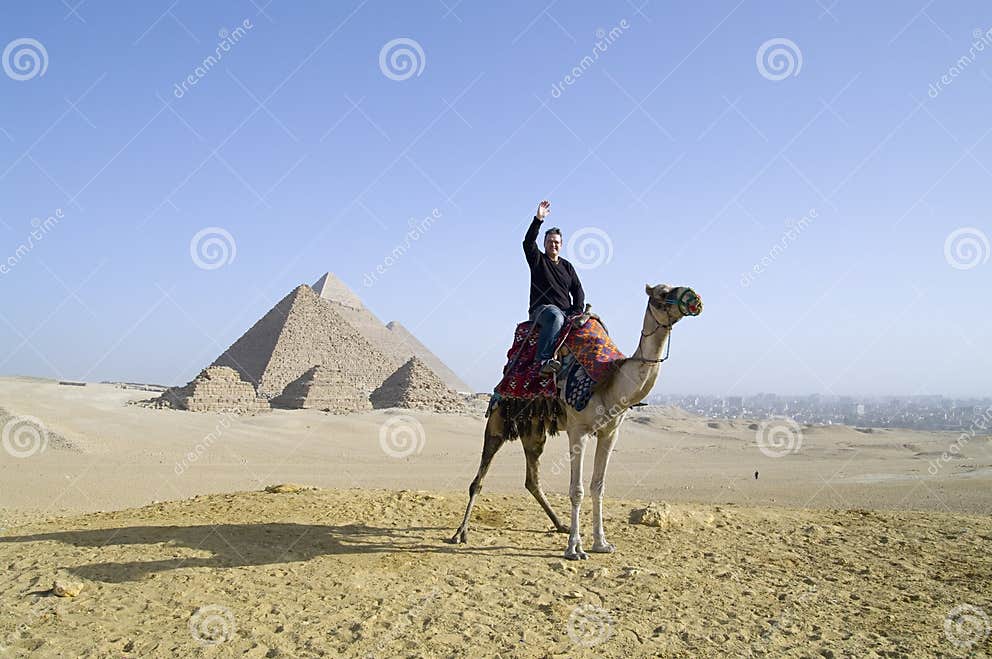 Camel Ride in Egypt stock photo. Image of scenic, africa - 8266572
