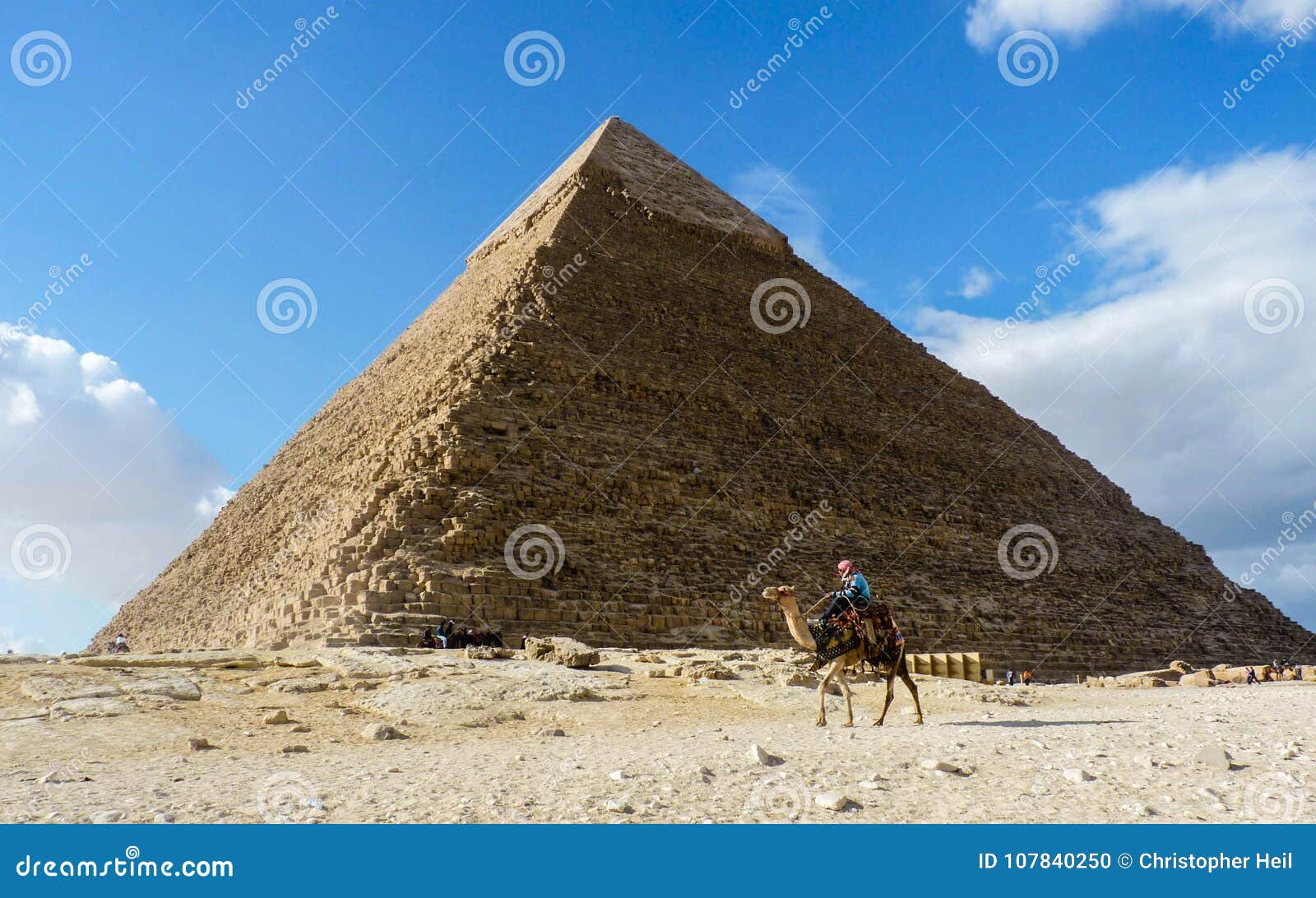 A Camel Ride in Front of the Pyramid of Giza. Editorial Image - Image ...