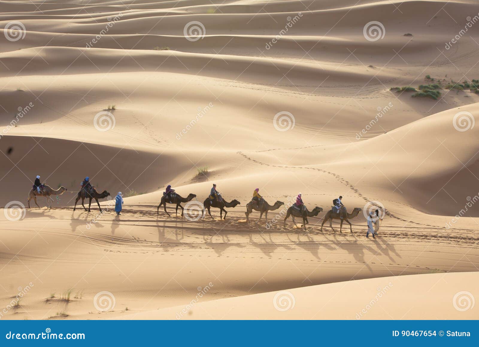 Camel ride at Morocco editorial stock image. Image of bedouins - 90467654