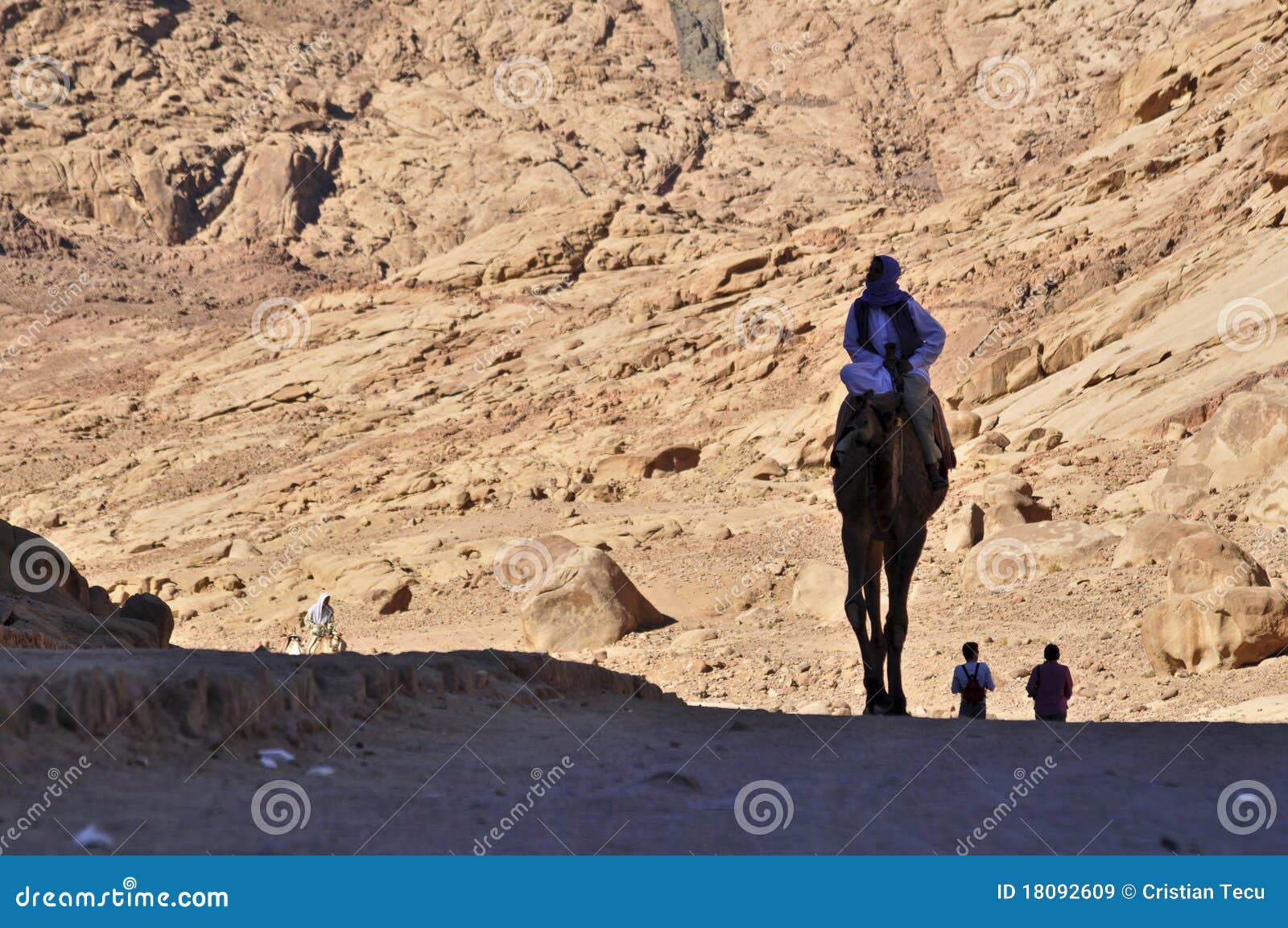 Camel Rider Editorial Photo | CartoonDealer.com #232324907