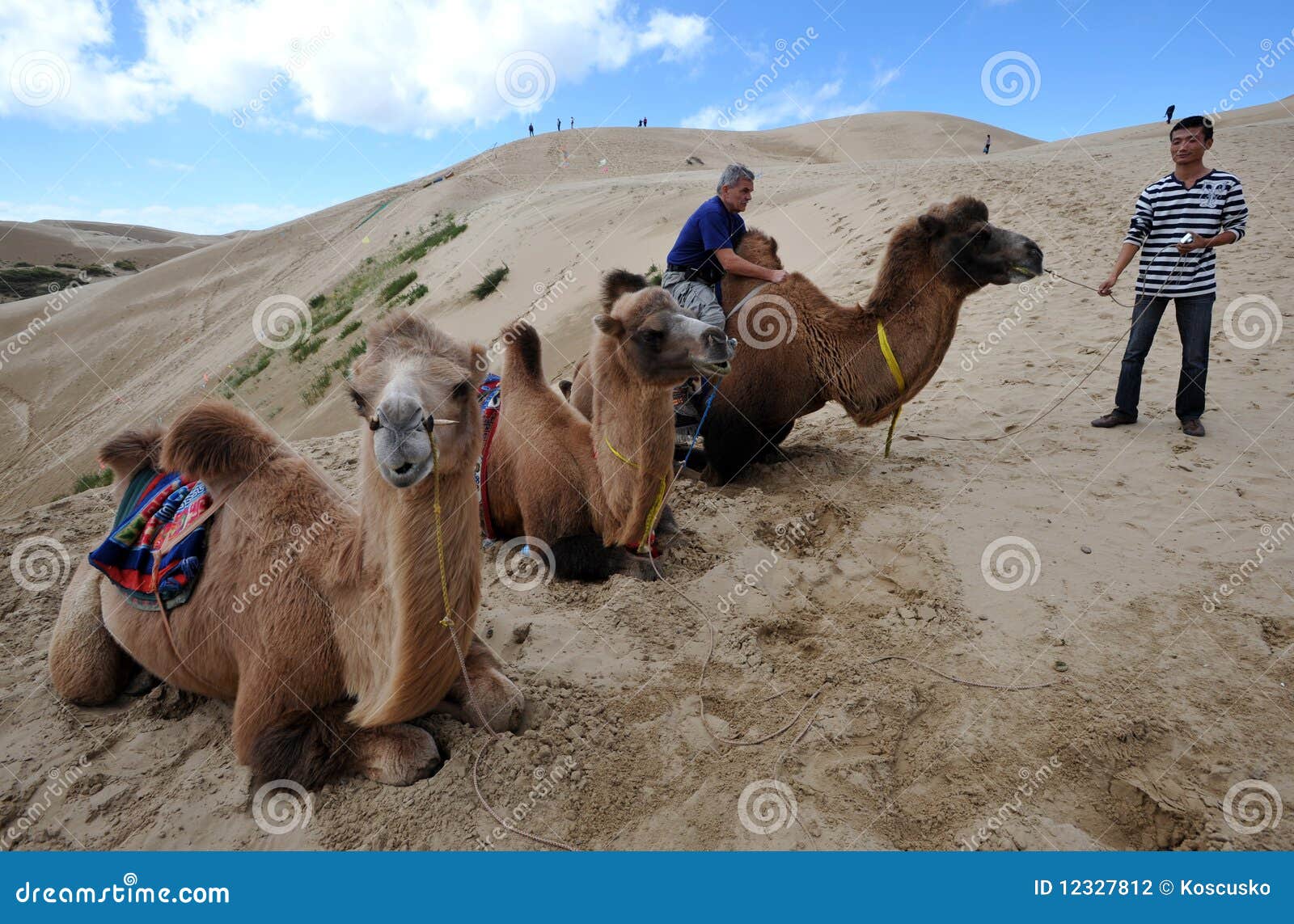 Camel riders editorial photography. Image of safari, drought - 12327812