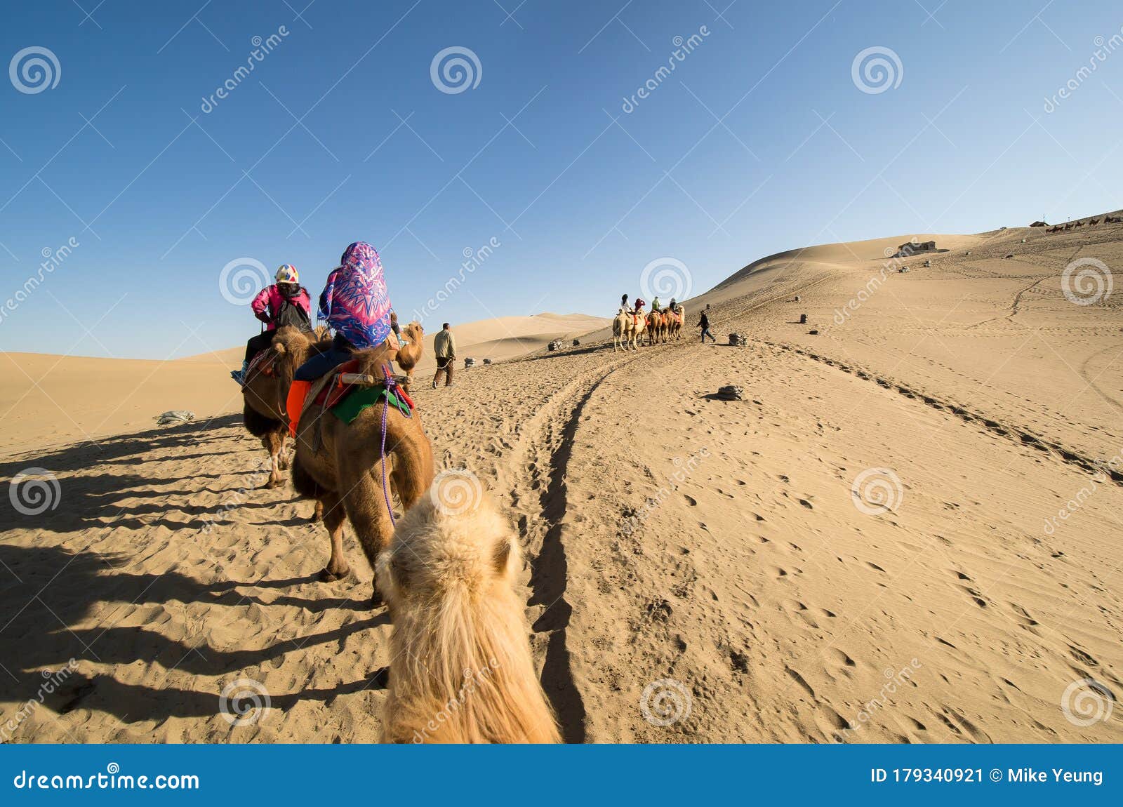 Camel Riding Guided Tour stock image. Image of saddles - 179340921