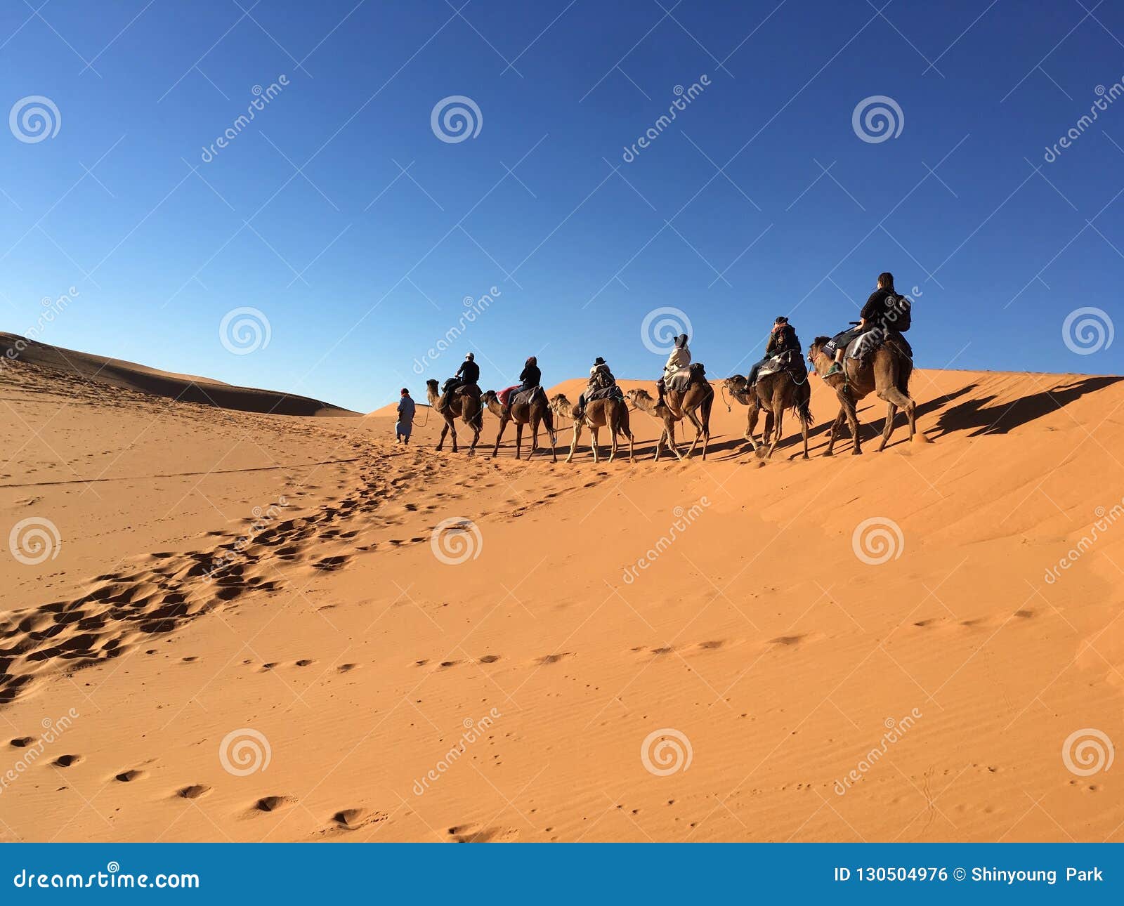 Camel Caravan Riding in the Sahara Desert, Fez To Marrakech Desert Tour ...