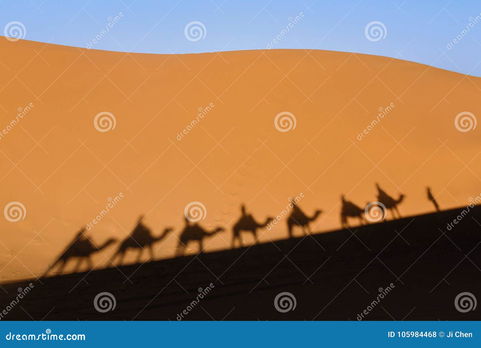 Camel Shadow on Sand in Desert Stock Photo - Image of golden, scene ...