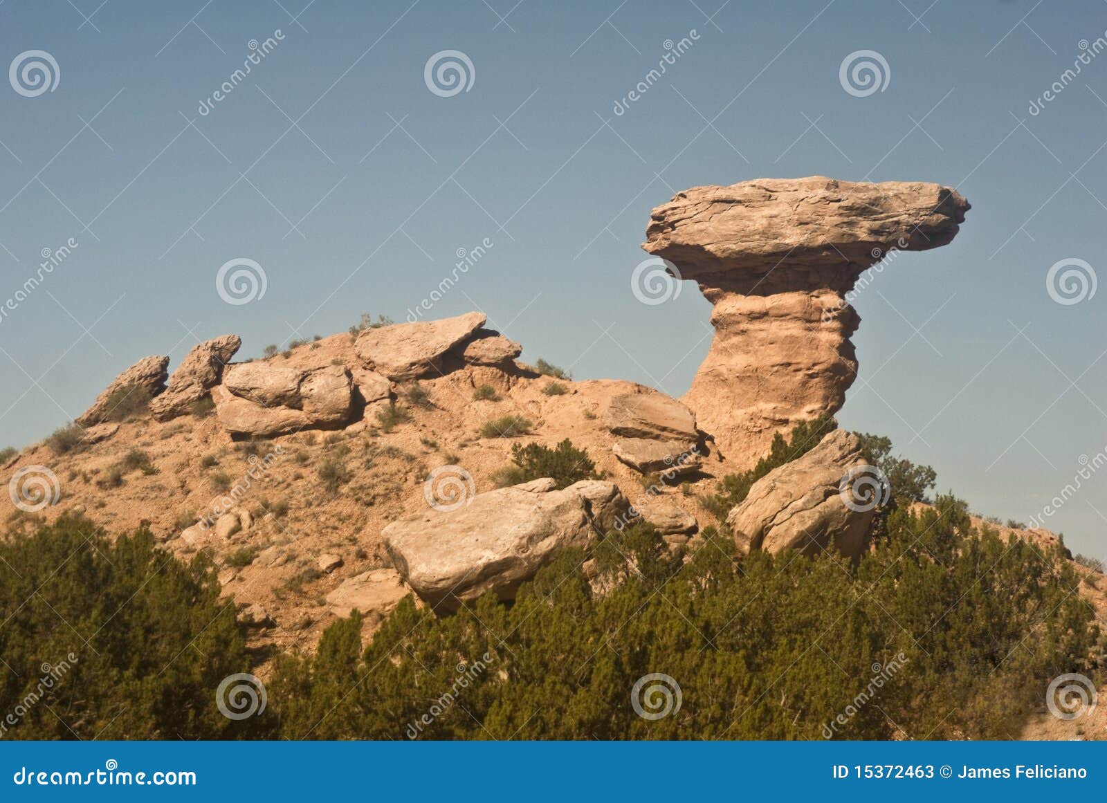 Camel Rock stock image. Image of southwest, rock, camel - 15372463