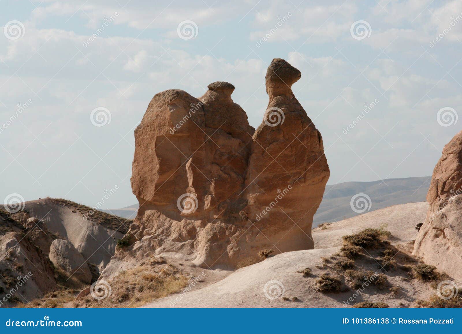 The Camel Rock stock photo. Image of volcanic, erosion - 101386138