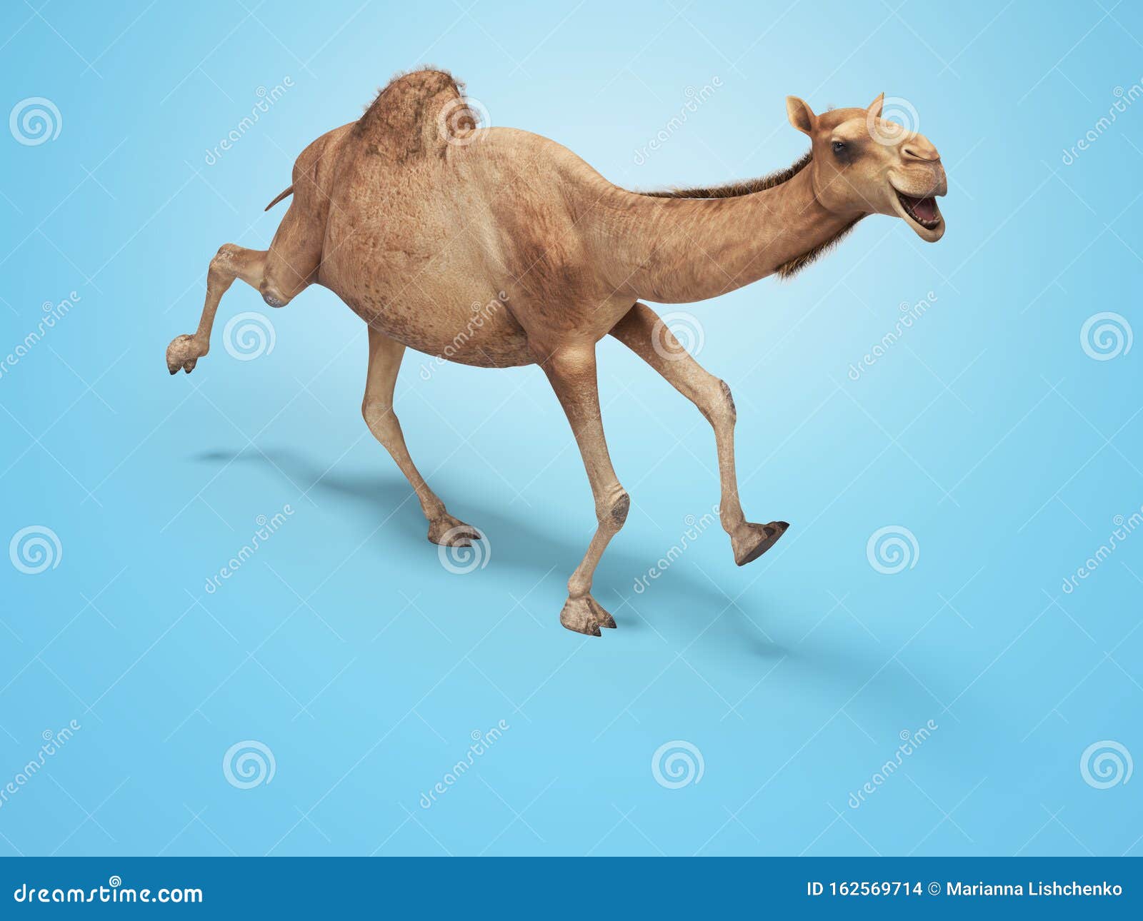 Camel Run Stock Illustrations – 88 Camel Run Stock Illustrations ...