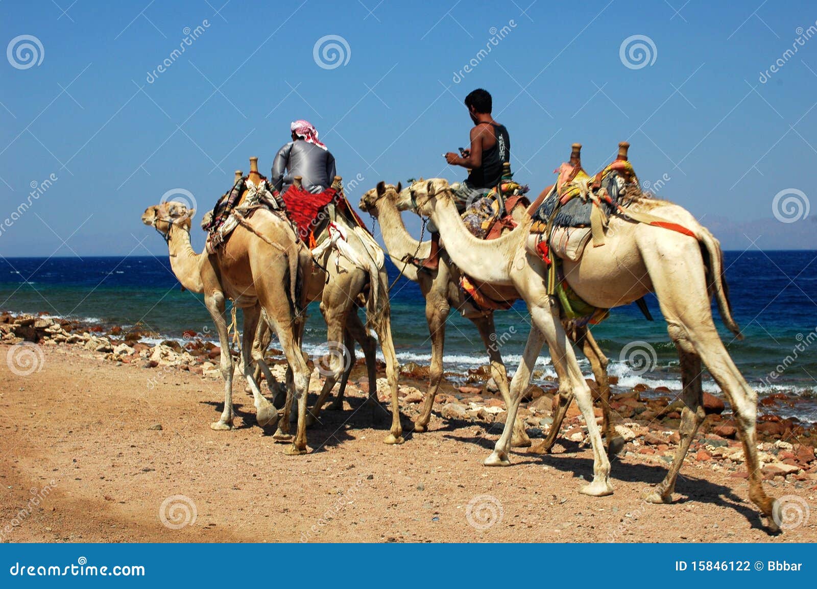 Camel Safari editorial photography. Image of arabe, desert - 15846122