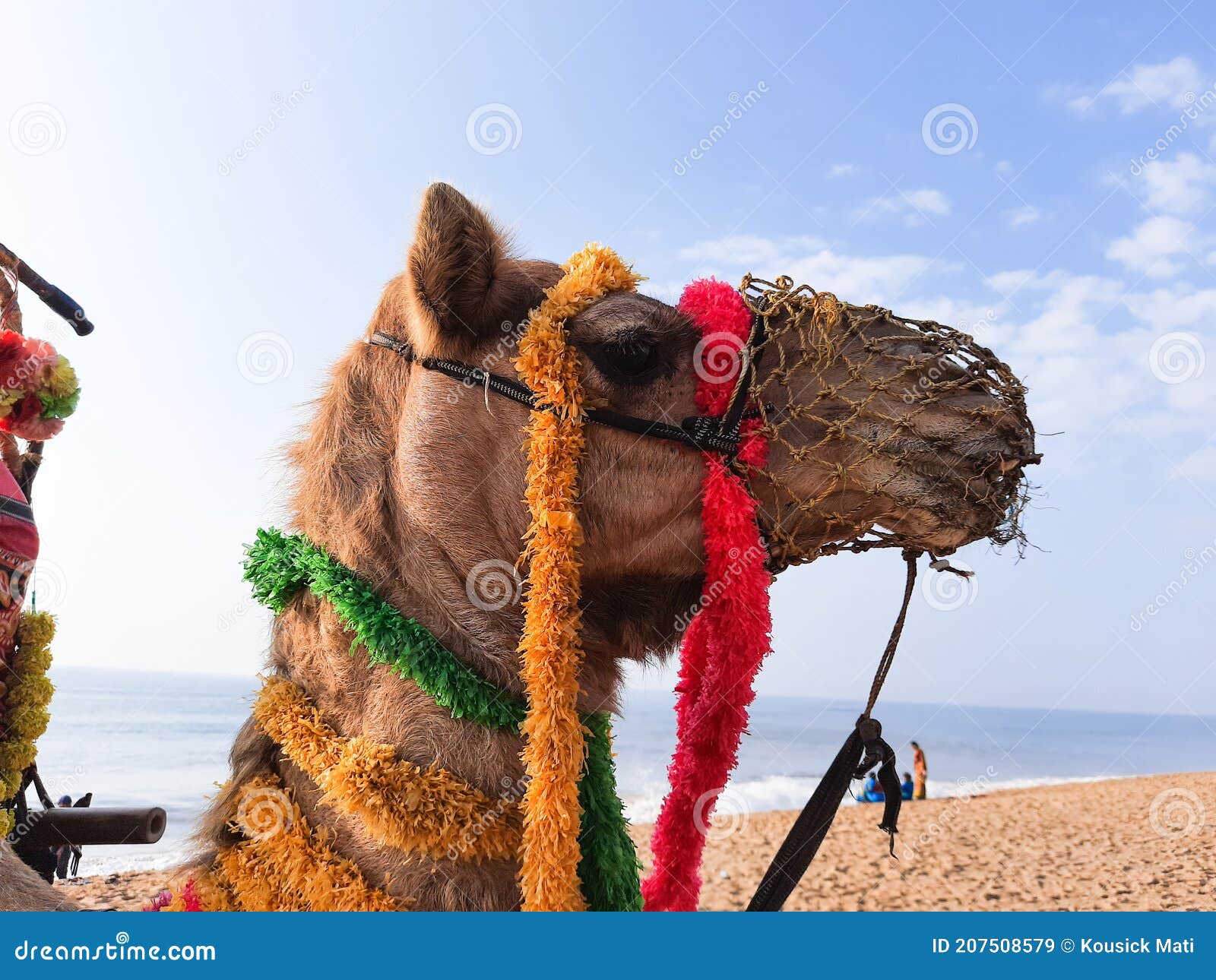 Camel at sea beach stock image. Image of sculpture, textile - 207508579
