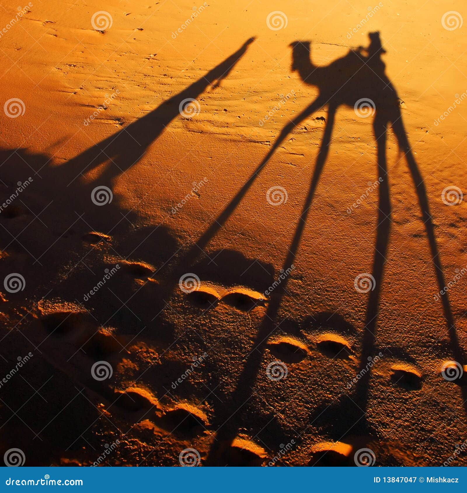 Camel shadow stock image. Image of climb, light, chebbi - 13847047