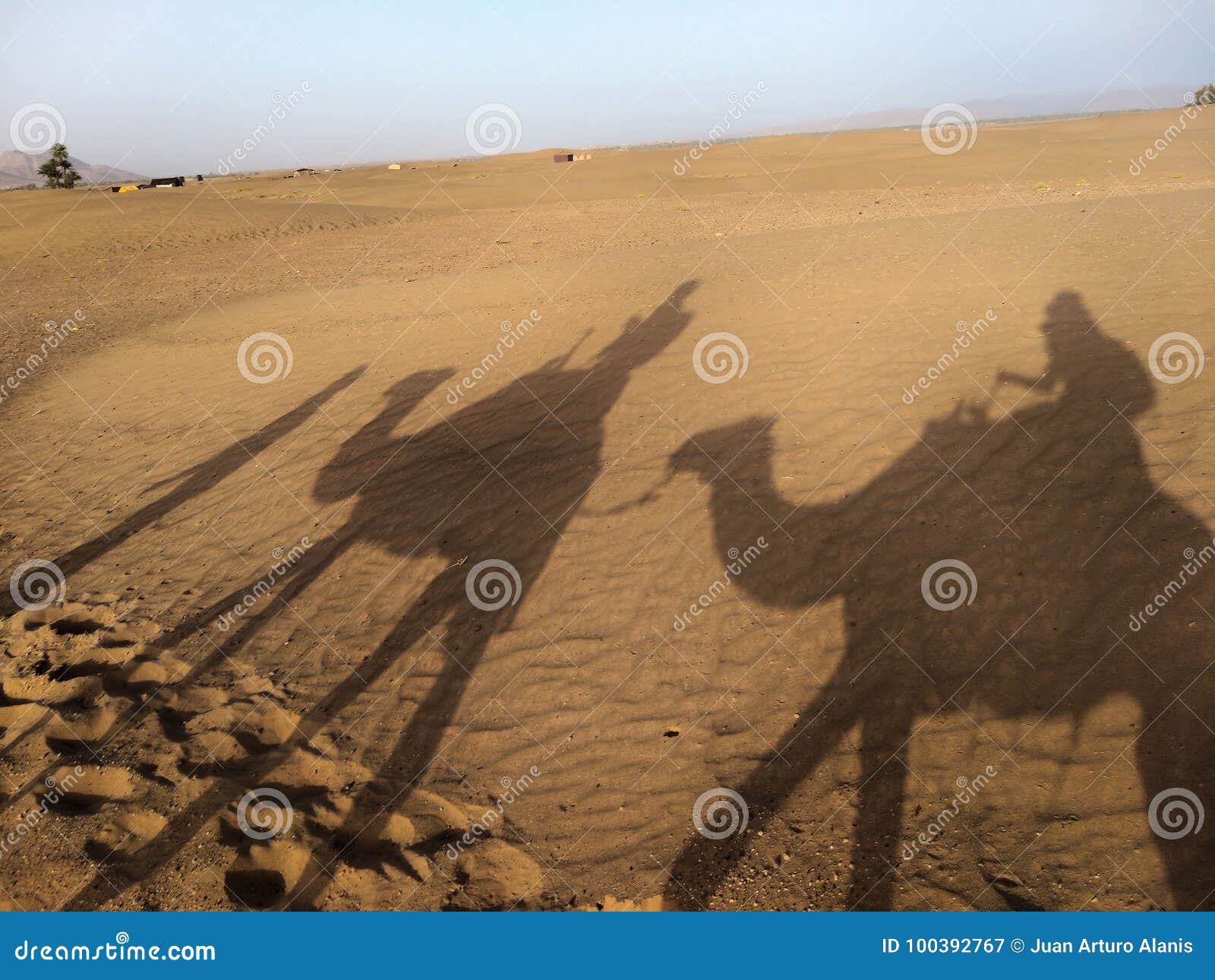Camel shadows stock image. Image of shadow, casting - 100392767