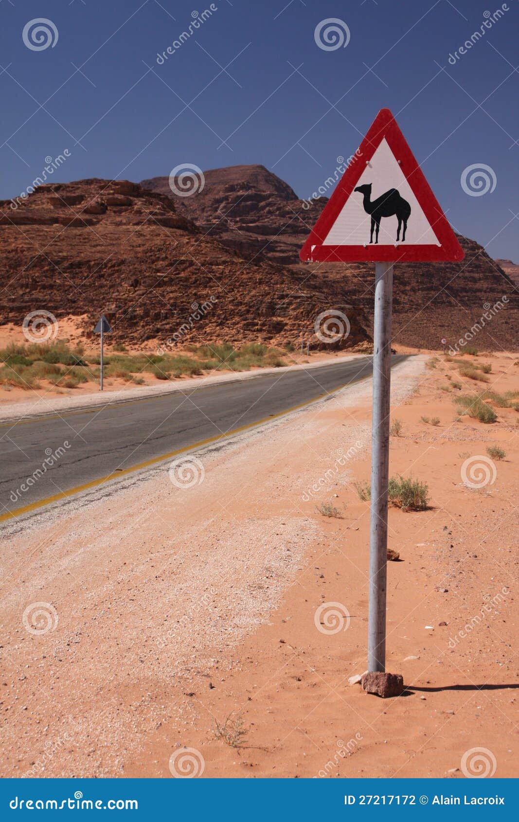 Camel sign stock photo. Image of travel, jordan, desert - 27217172