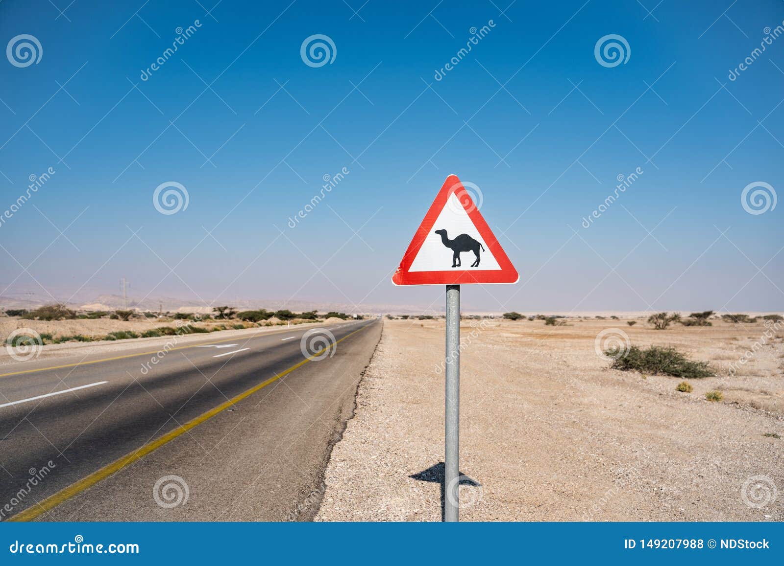 Camel Sign in the Desert of Israel. Empty Road Stock Photo - Image of ...