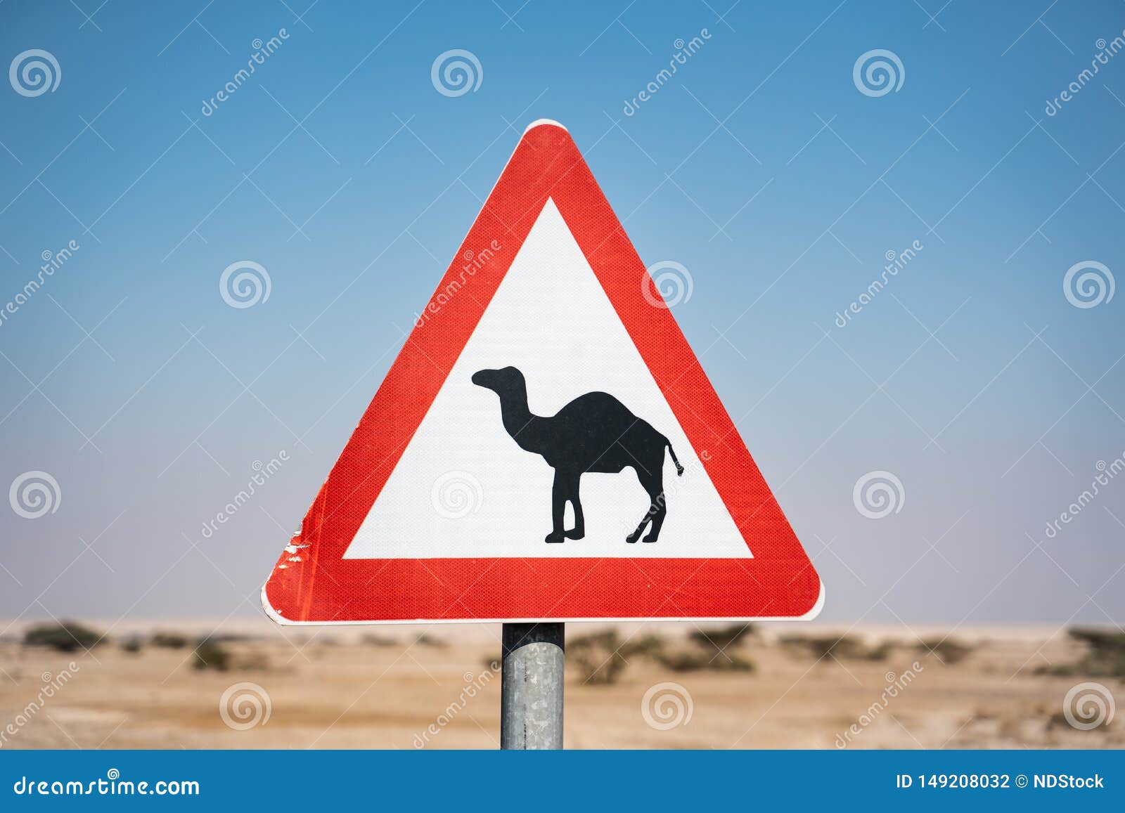 Camel Sign in the Desert of Israel. Empty Road Stock Photo - Image of ...