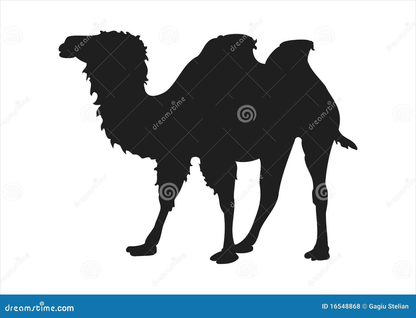 Camel Silhouette. A Set Of Camel Silhouettes Cartoon Vector ...