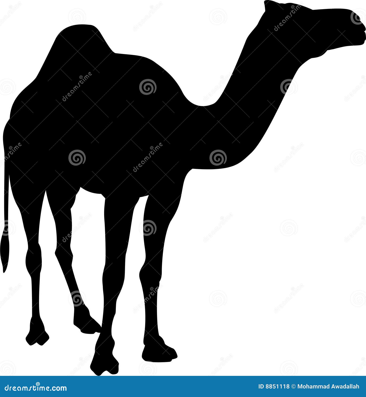 Camel Silhouette stock vector. Illustration of exotic - 8851118