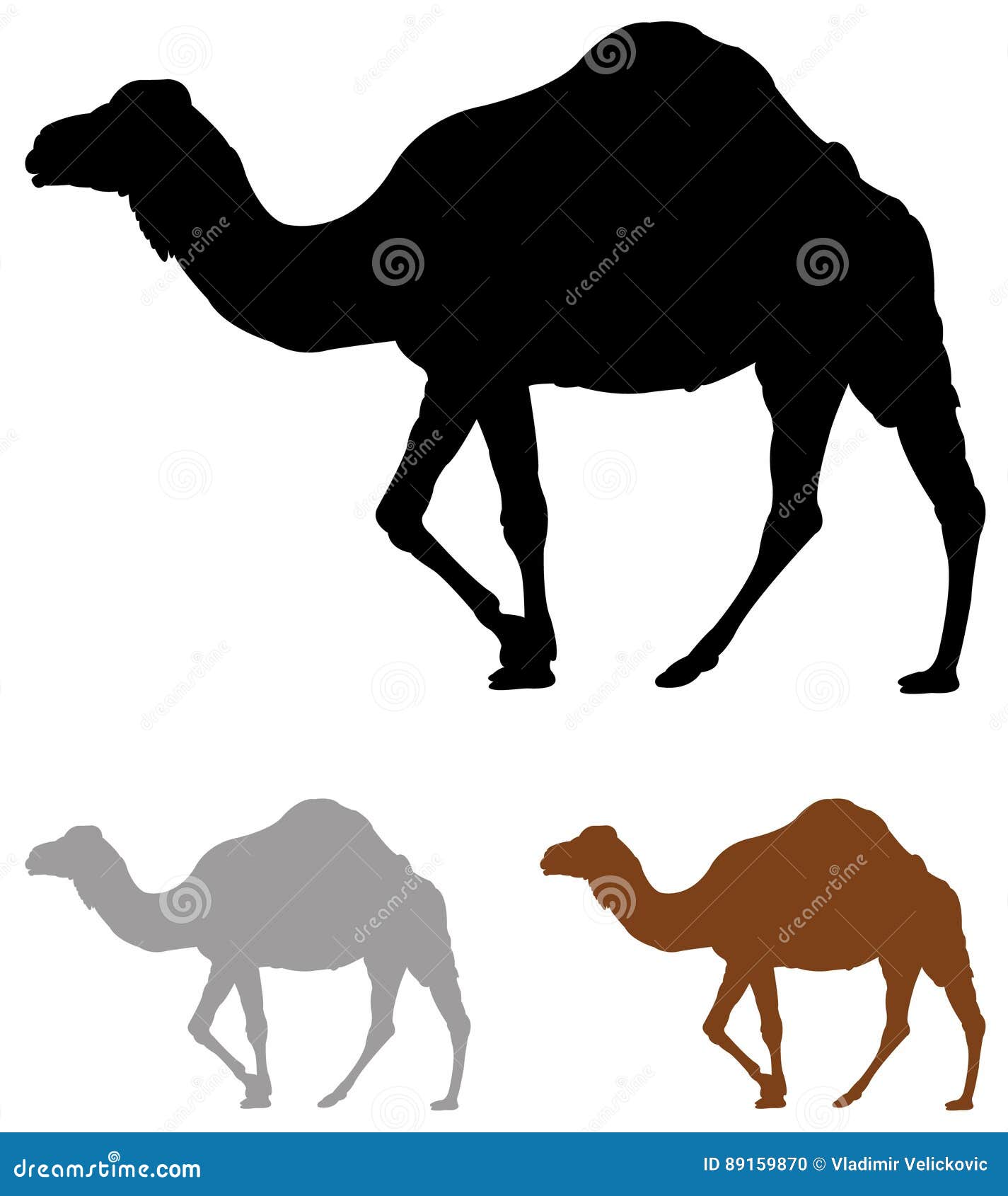 Camel silhouette stock vector. Illustration of wildlife - 89159870