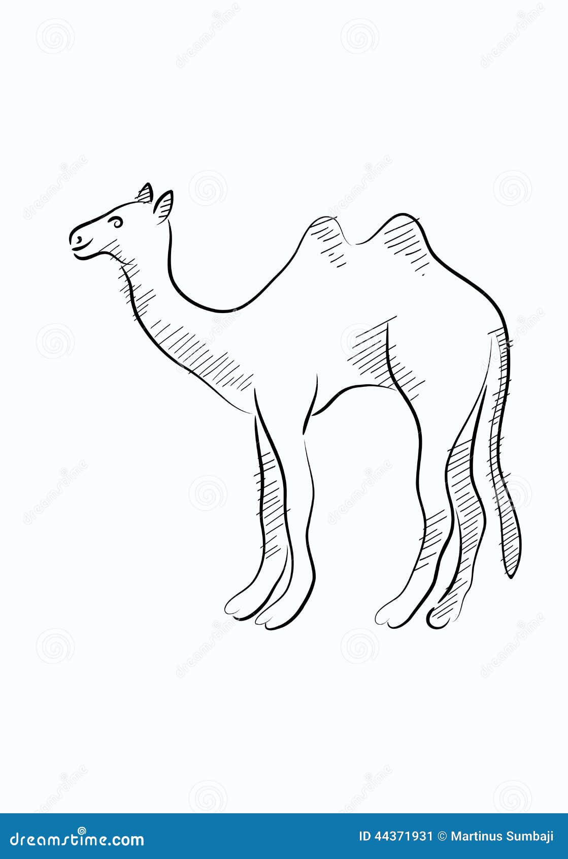Camel sketch stock vector. Illustration of white, symbol - 44371931